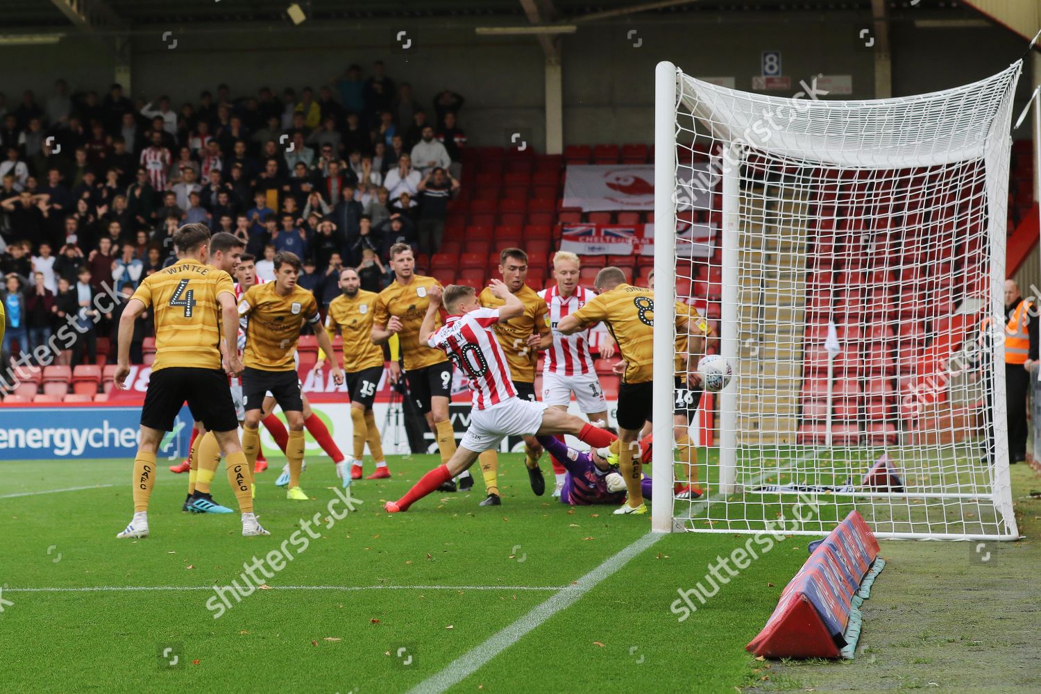 Gavin Reilly Scores Runs Celebrate Opening Editorial Stock Photo ...