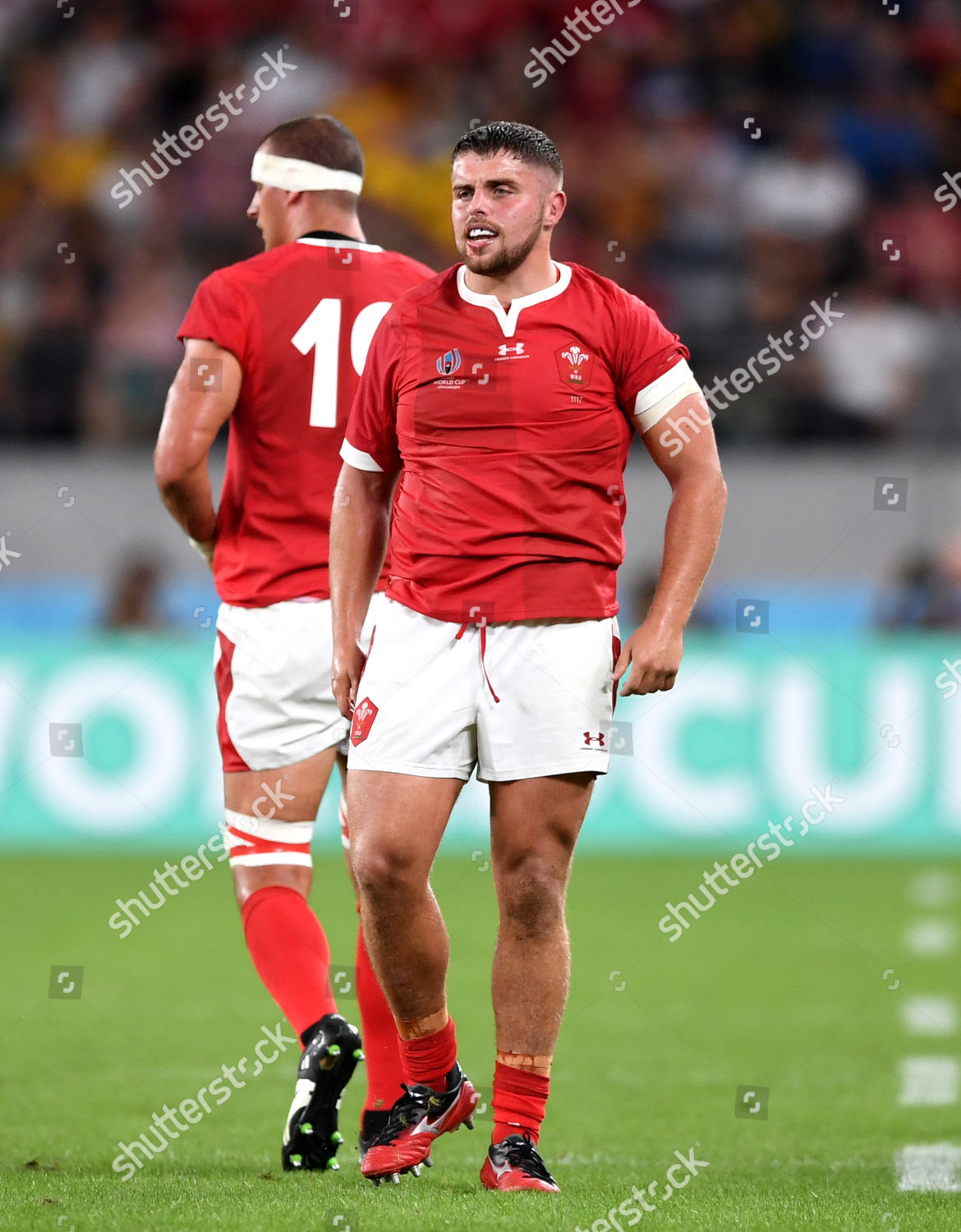 Nicky Smith Wales Editorial Stock Photo - Stock Image | Shutterstock