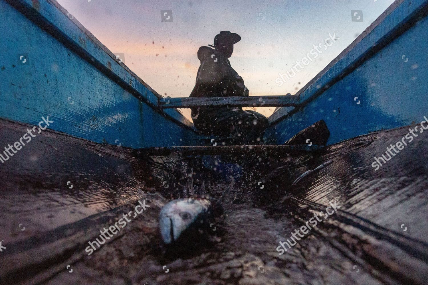 Fish Flaps Hull Pirogue Dies Whilst Editorial Stock Photo - Stock Image ...