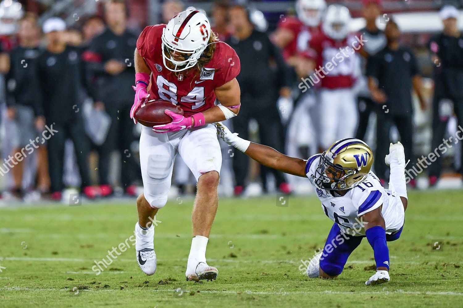 Stanford Cardinal Tight End Colby Parkinson Editorial Stock Photo ... Stanford Cardinal Tight End Colby Parkinson Editorial Stock Photo ...