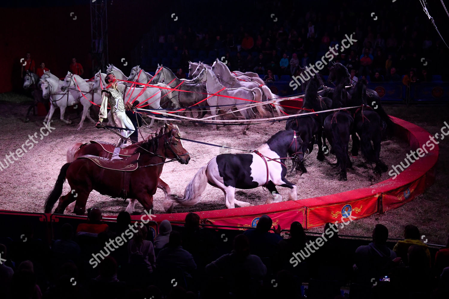 Hungarian Equestrian Acrobat Kevin Richter Florian Editorial Stock Photo - Stock Image ...