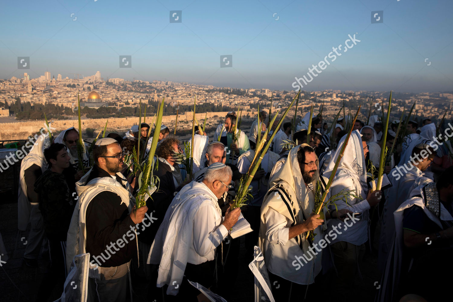 Orthodox Jews Wearing Prayer Shawl Carrying Editorial Stock Photo ...