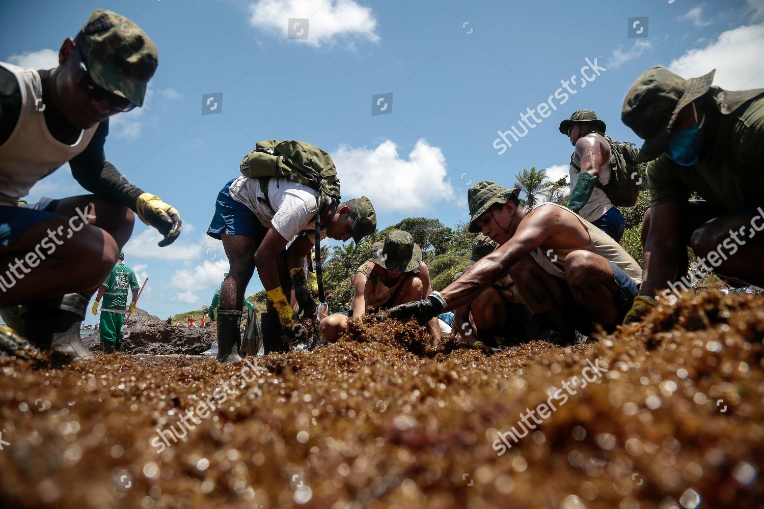 Brazilian Soldiers Remove Oily Waste Seaweed Editorial Stock Photo ...