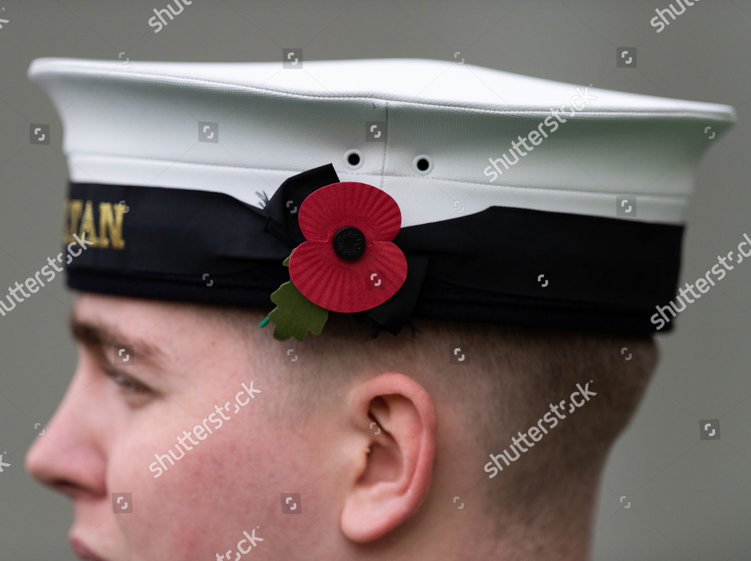 Remembrance Day Poppy On Hat Hms Editorial Stock Photo - Stock Image ...