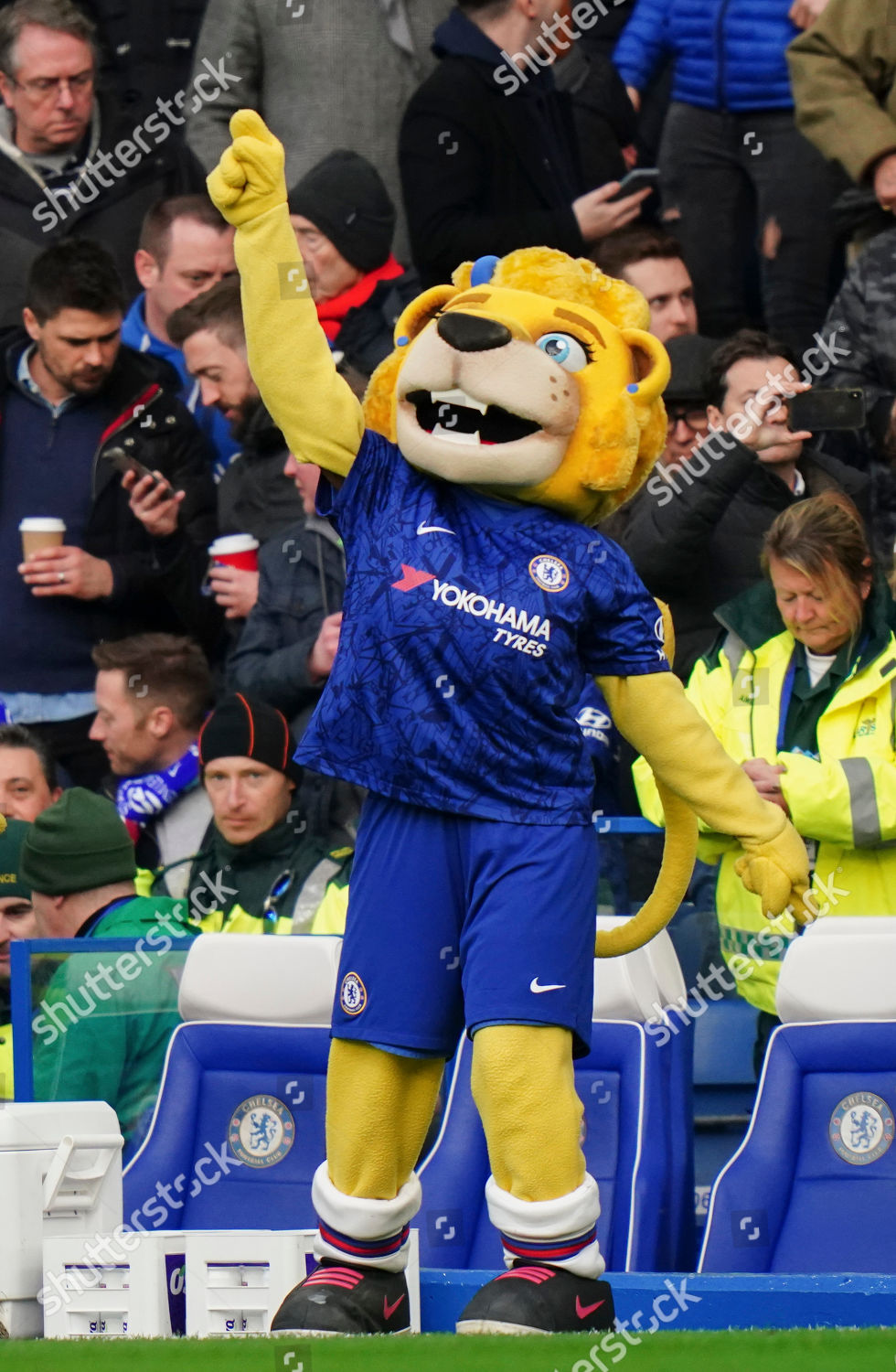 Bridget Chelsea Mascot Entertains Fans Sideline Editorial Stock Photo ...