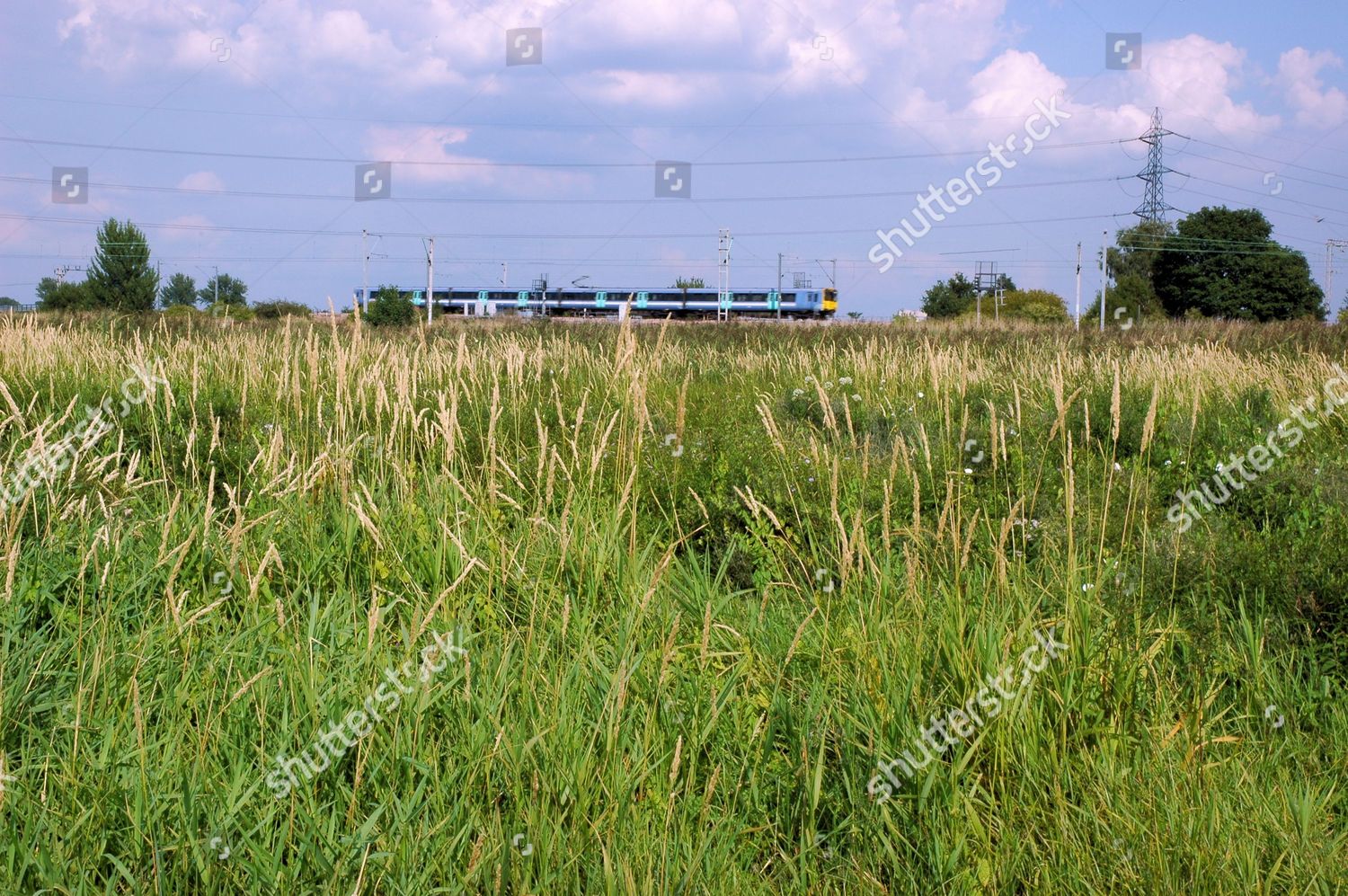 Walthamstow Marshes Walthamstow London England Britain Editorial Stock ...