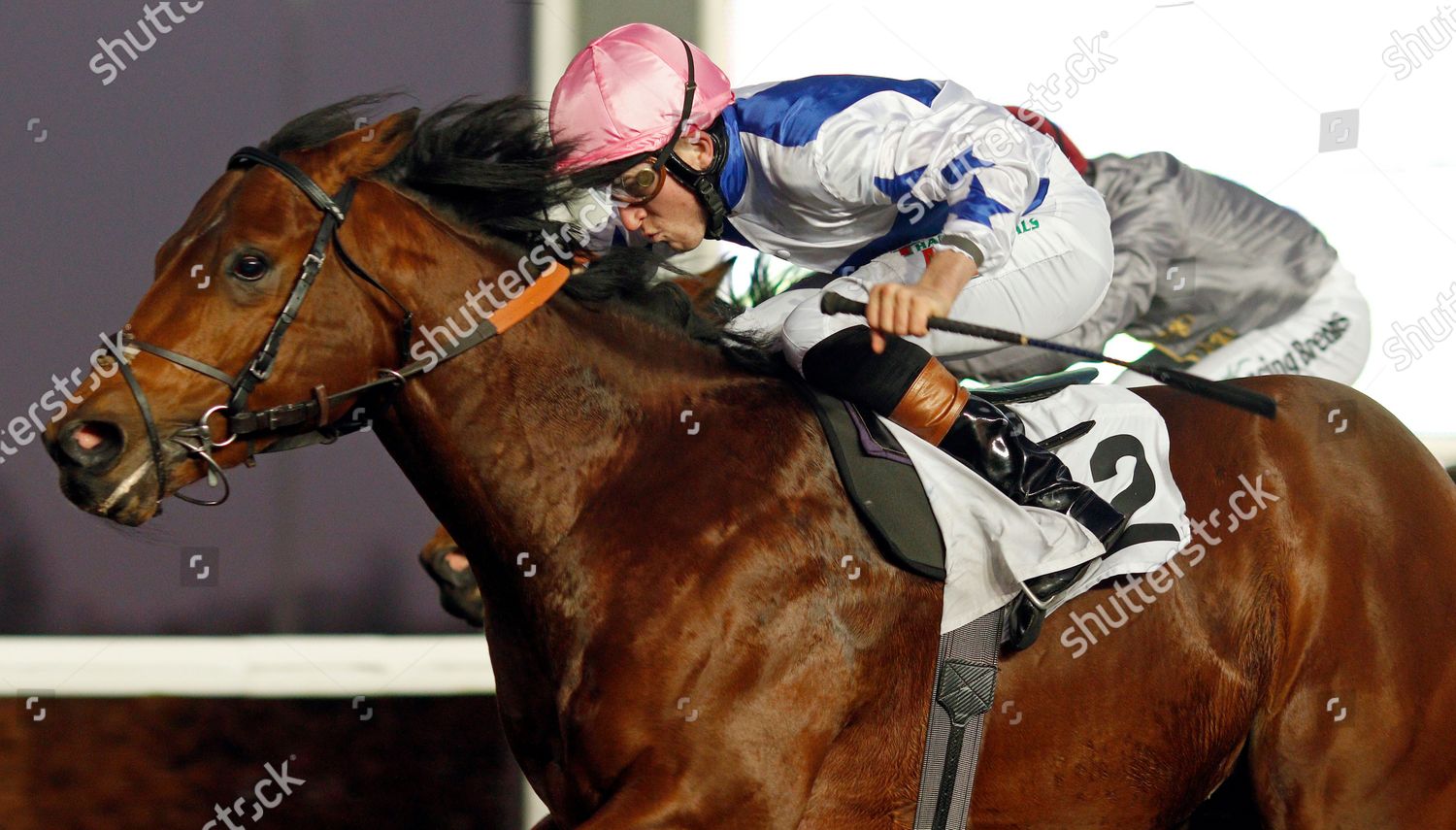 Brunel Charm Finley Marsh Wins British Editorial Stock Photo - Stock ...