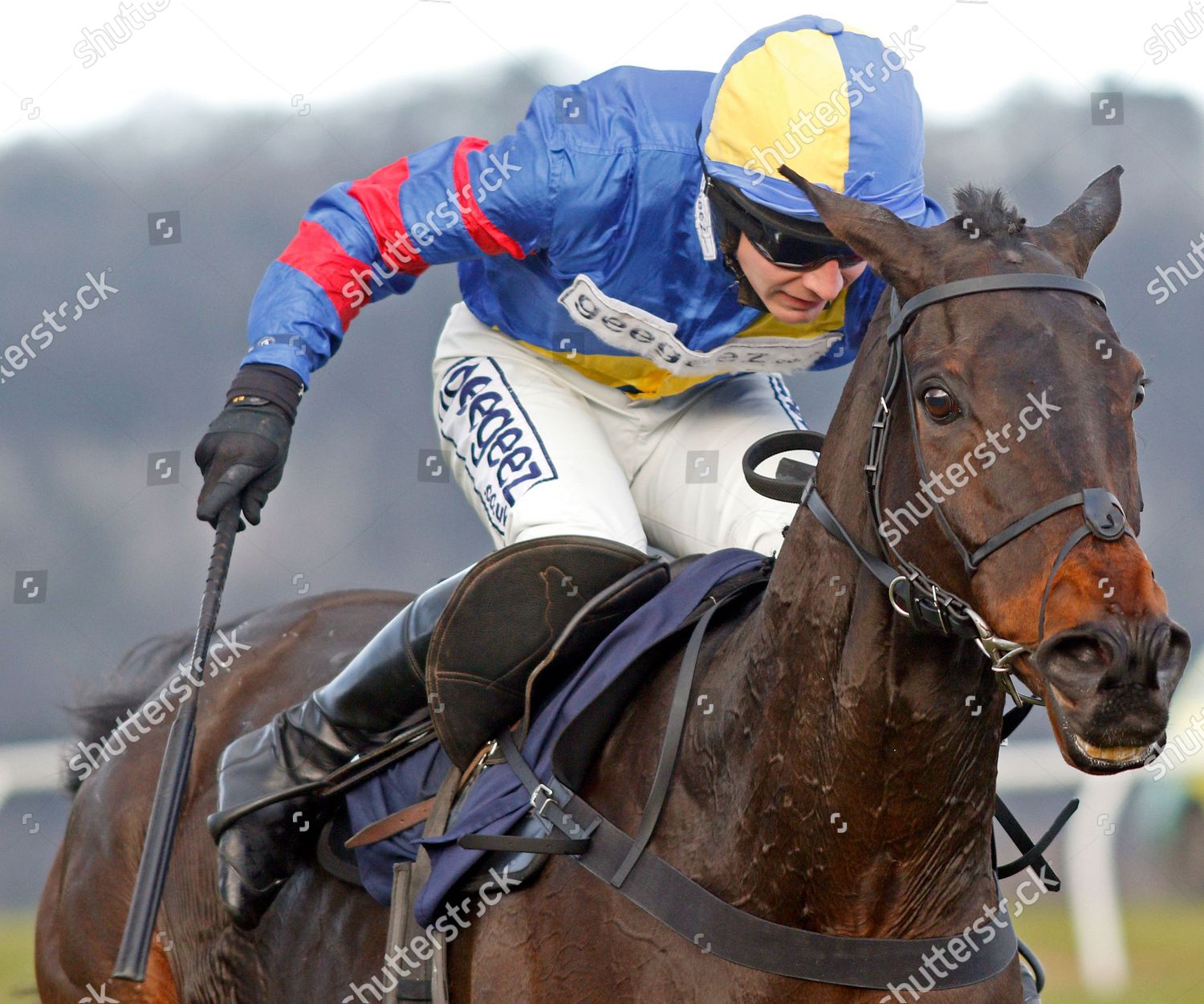 Jepeck Rex Dingle Wins Smart Moneys Editorial Stock Photo - Stock Image ...