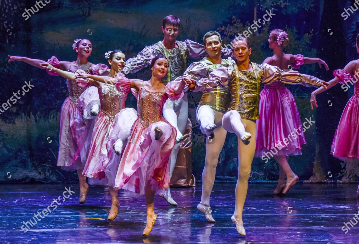 Royal Ballet Russia Staged Editorial Stock Photo - Stock Image ...