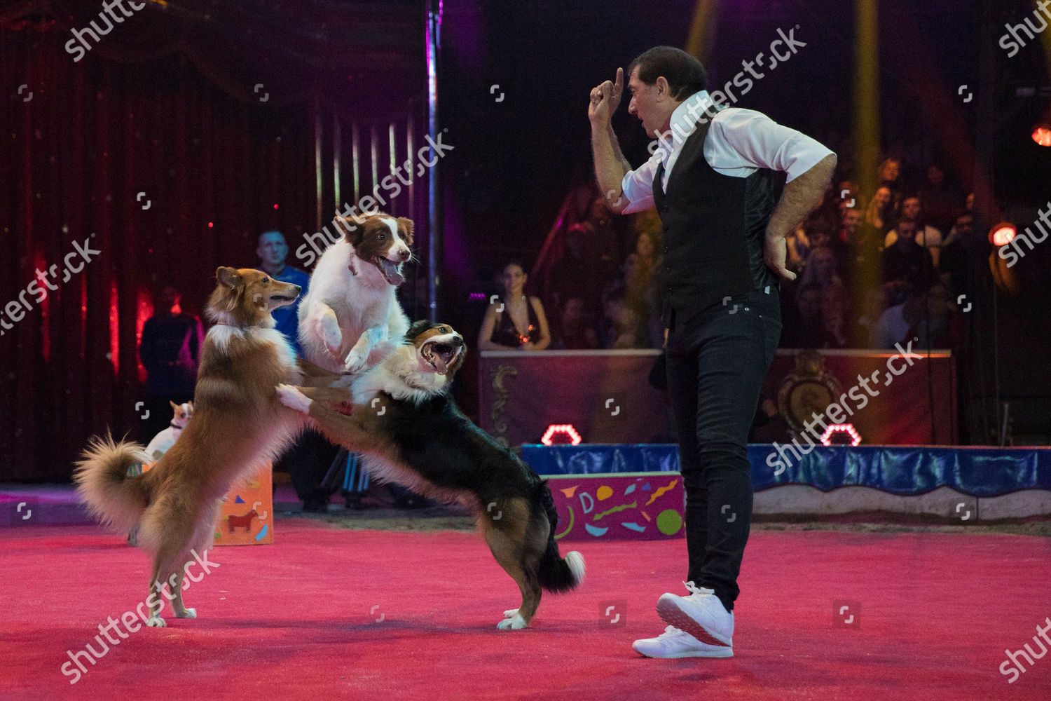 Sandro Montez His Dogs Perform During Editorial Stock Photo - Stock ...