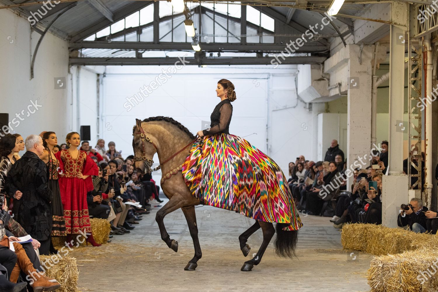 Horse By Marco Luraschi Italian Equestrian Editorial Stock Photo ...