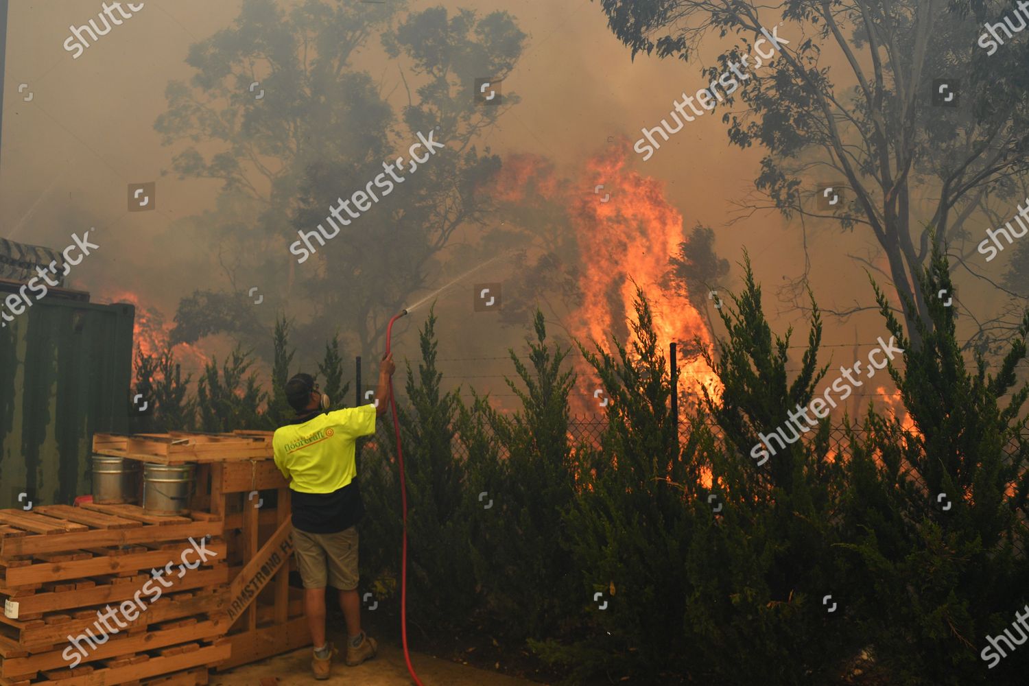 Worker Tries Put Out Bushfire Behind Editorial Stock Photo - Stock ...