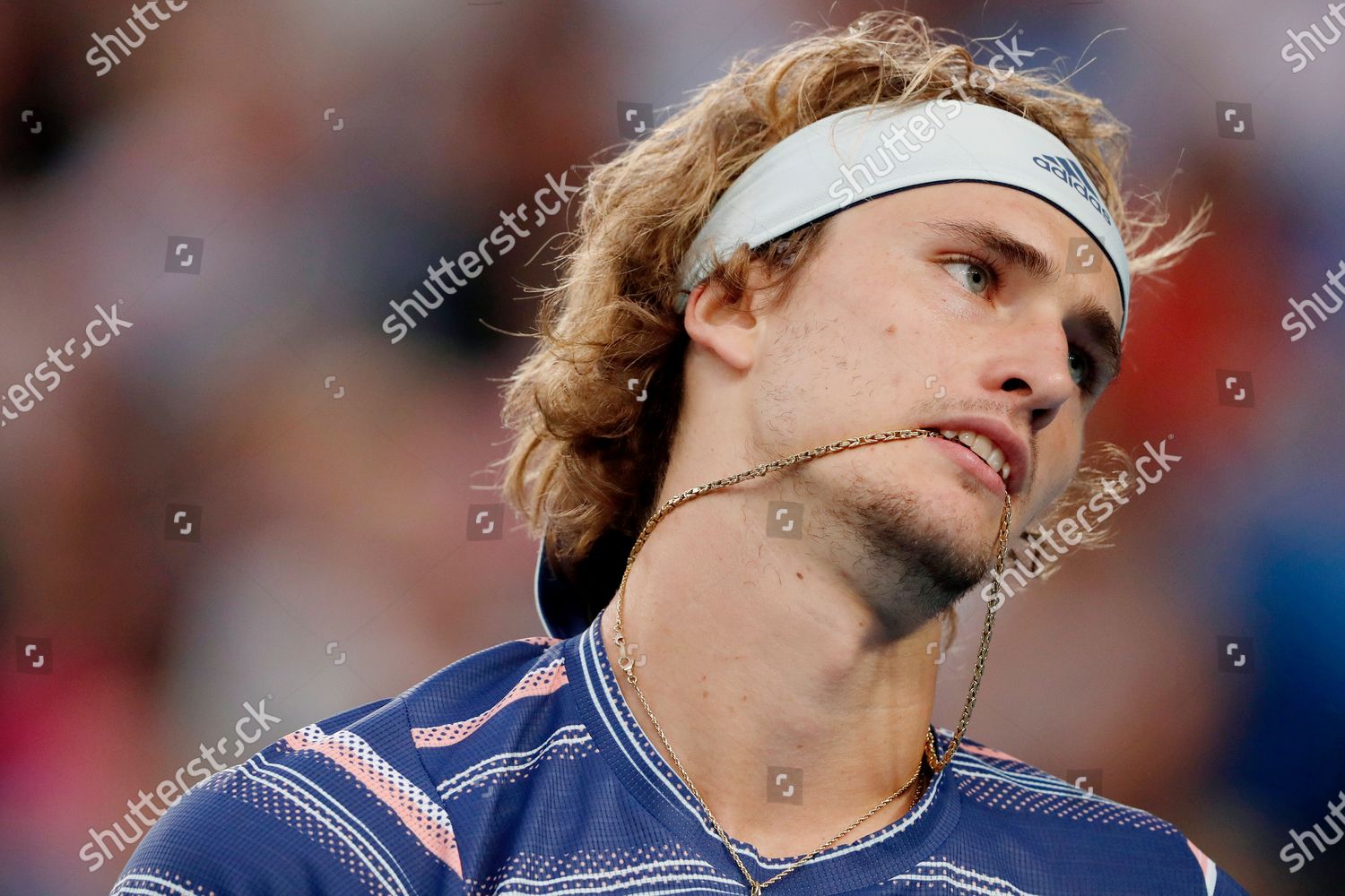 Alexander Zverev Germany Looks On During Editorial Stock Photo - Stock Image | Shutterstock