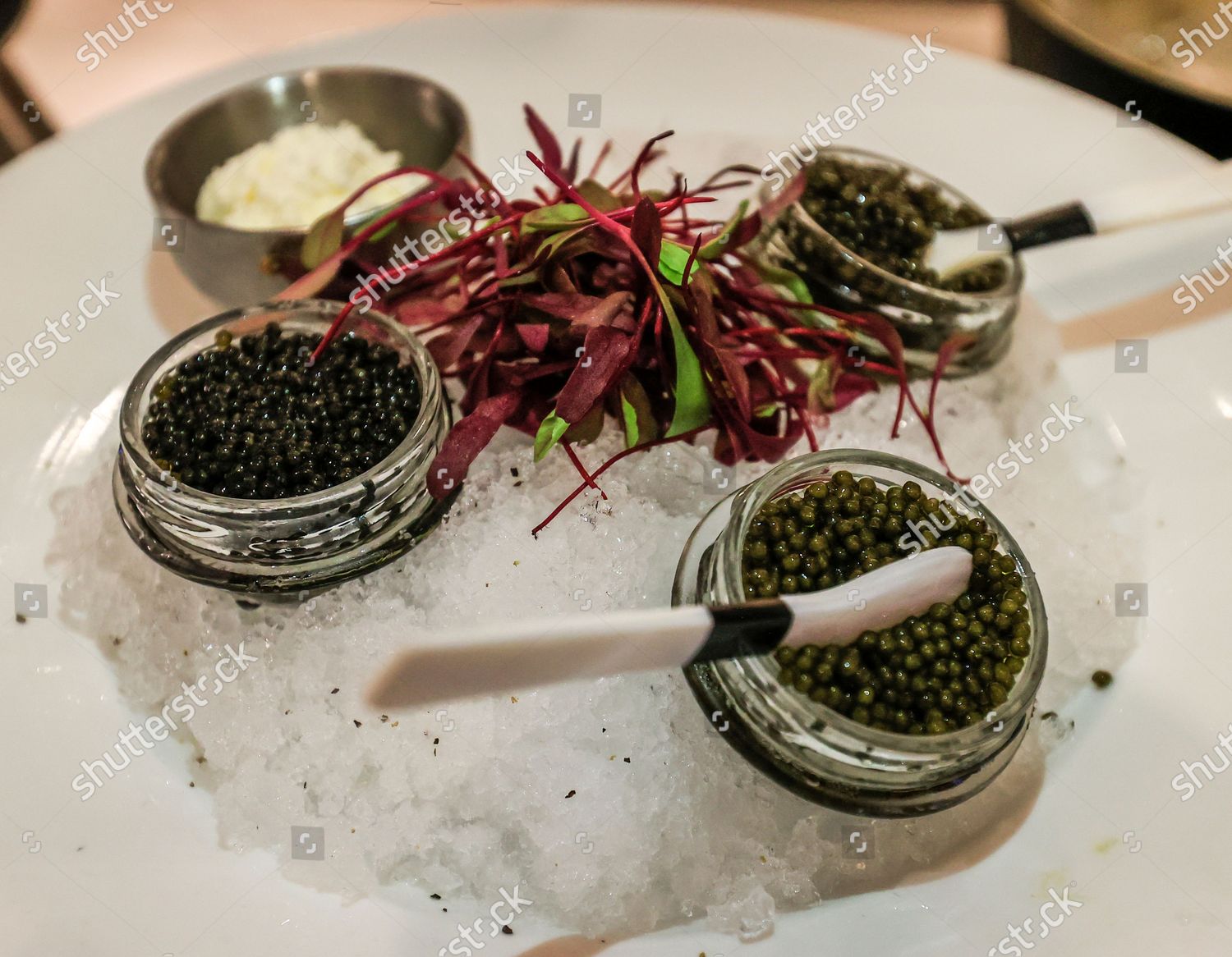 Farm Harvested Caviar Creme Fraiche Displayed Editorial Stock Photo ...