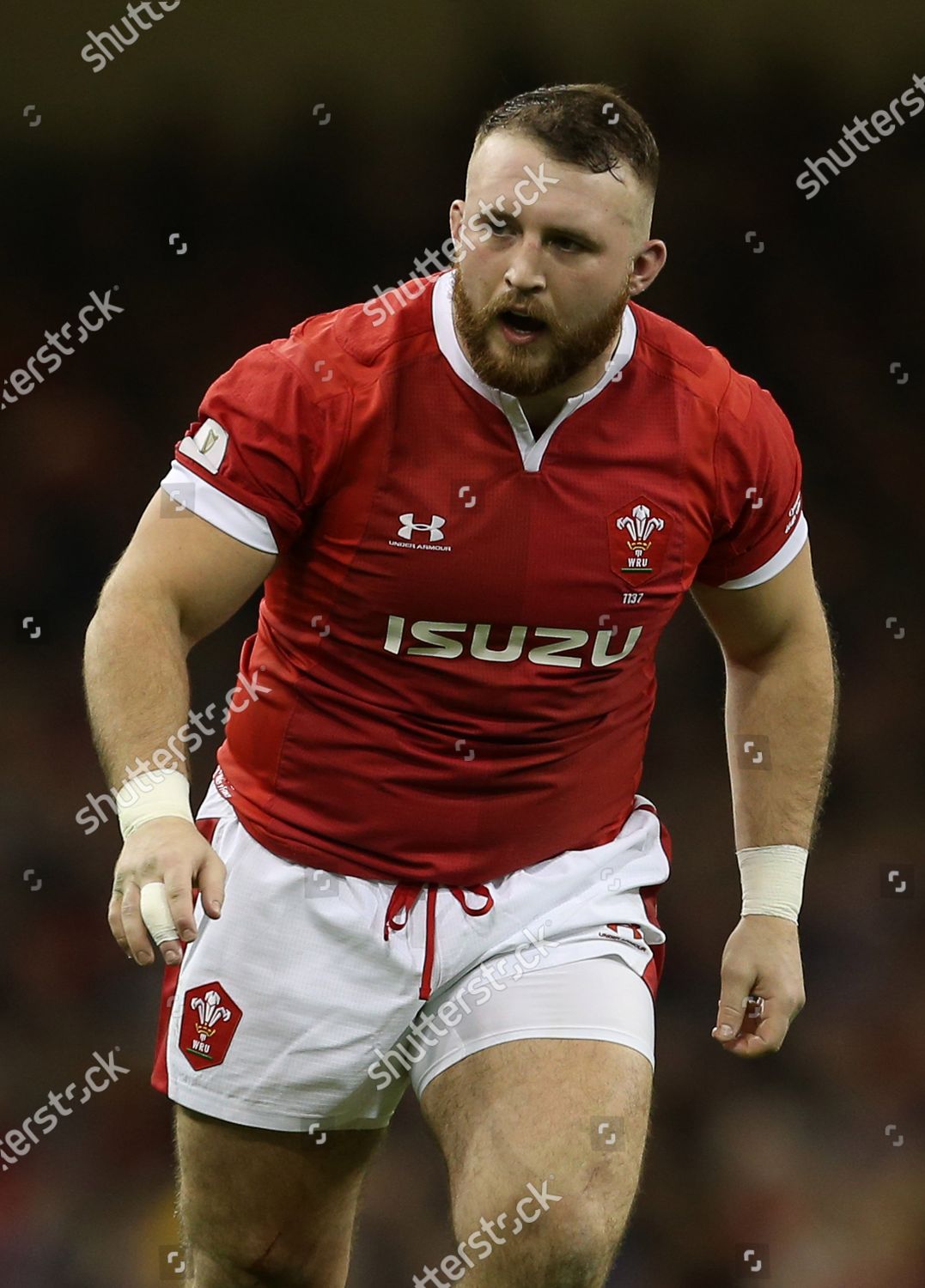 Dillon Lewis Wales Editorial Stock Photo - Stock Image | Shutterstock