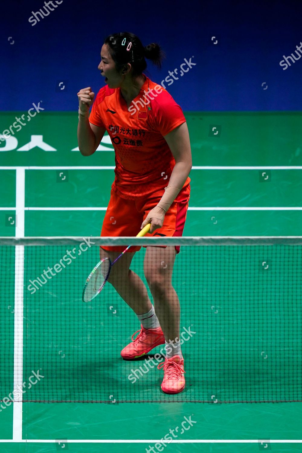 Yi Fan Jia China Action Against Editorial Stock Photo - Stock Image ...