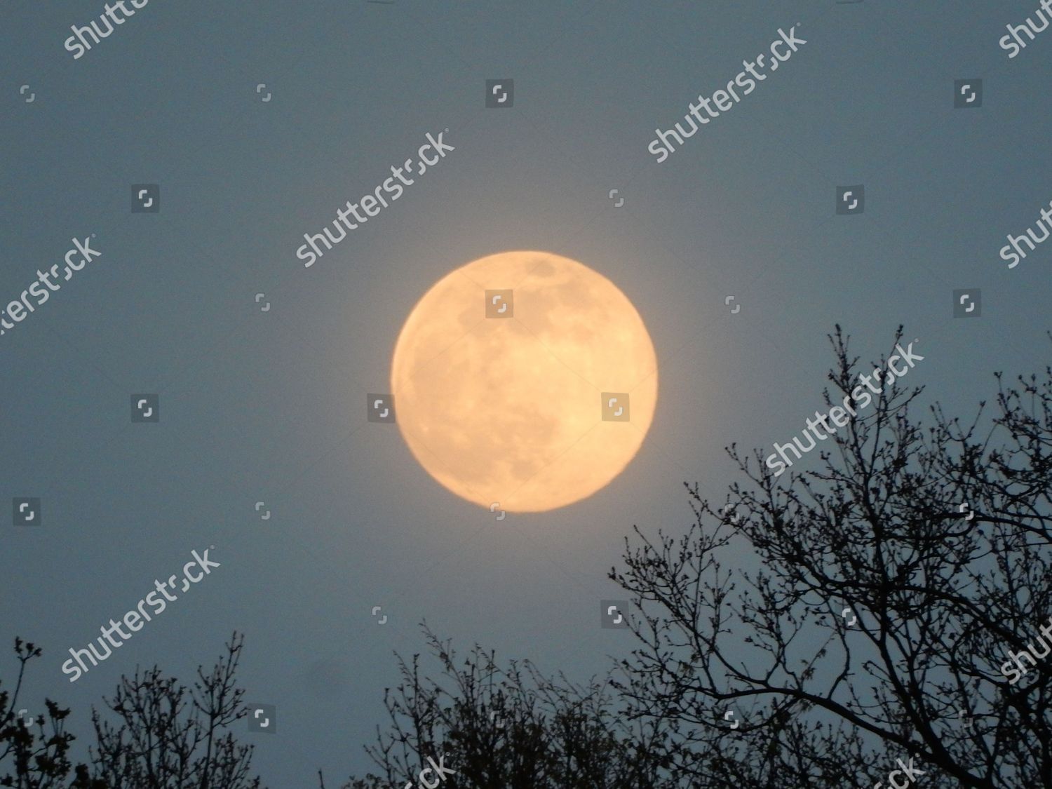 Pink Supermoon Editorial Stock Photo - Stock Image | Shutterstock