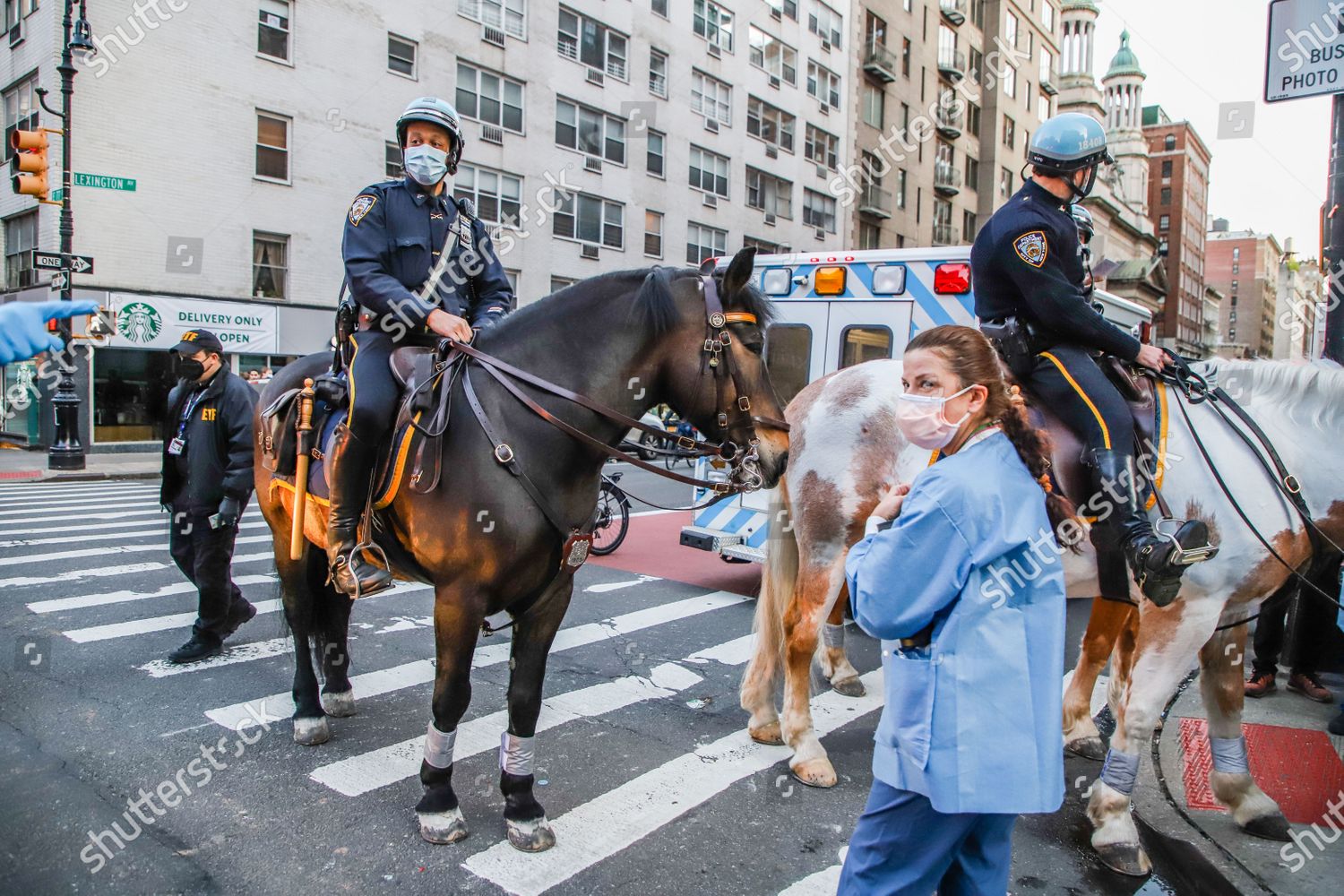 New York Residents City Police Horses Editorial Stock Photo - Stock ...