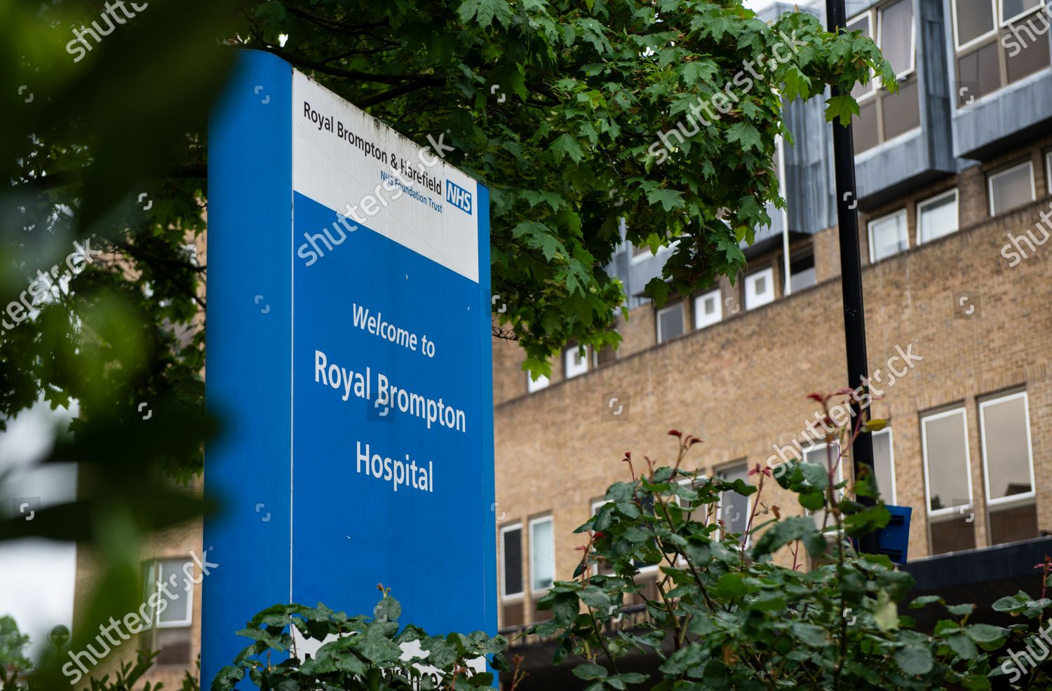 Royal Brompton Hospital Sign Editorial Stock Photo - Stock Image ...