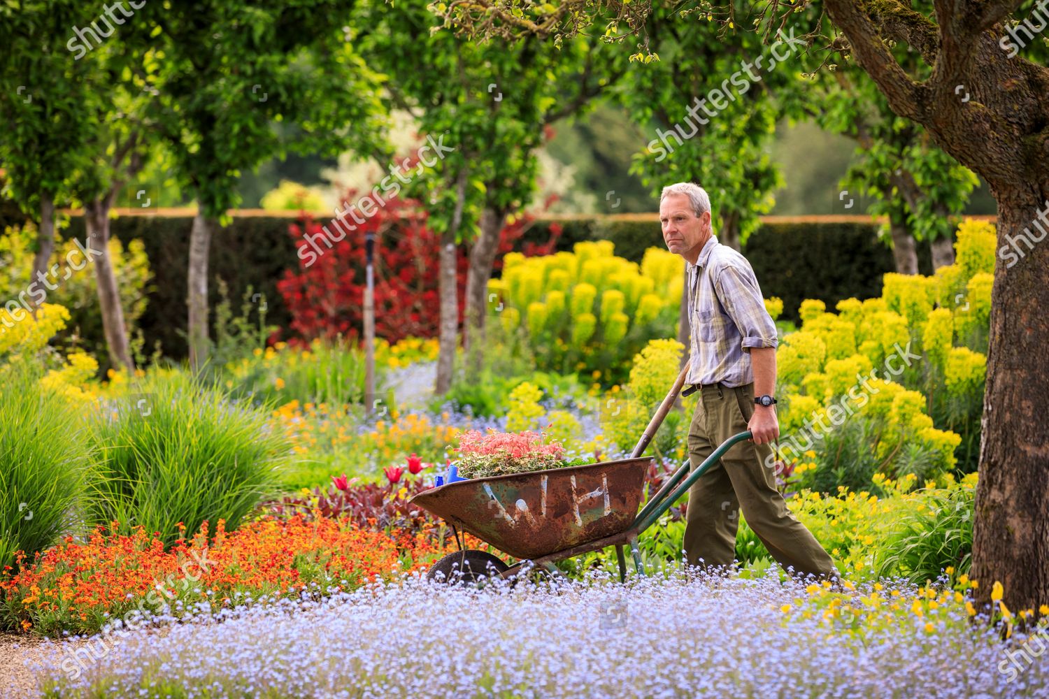 Head Gardener Richard Burnip Pictured Amongst Editorial Stock Photo ...