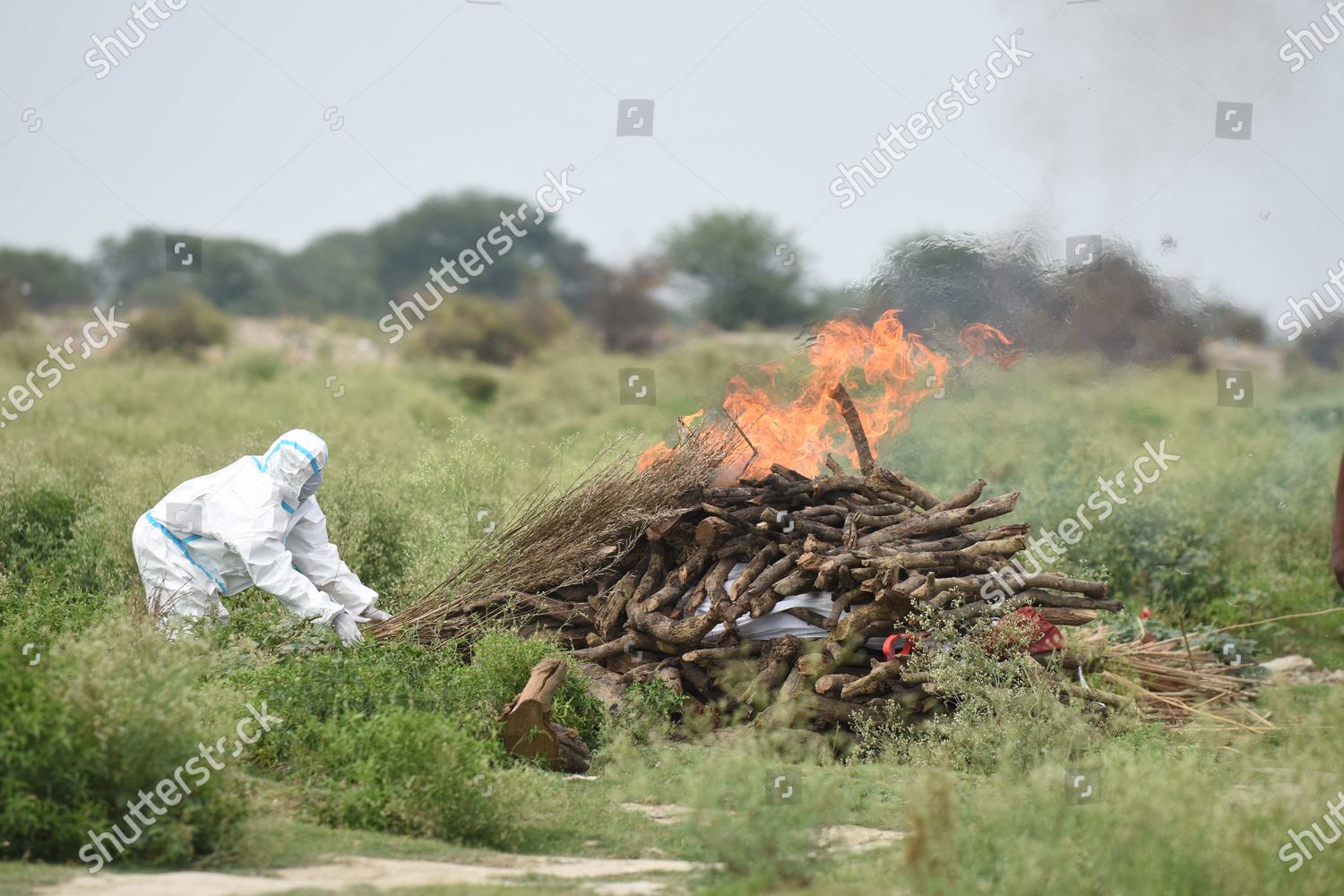 Health Department Worker Cremating Dead Body Editorial Stock Photo - Stock Image | Shutterstock
