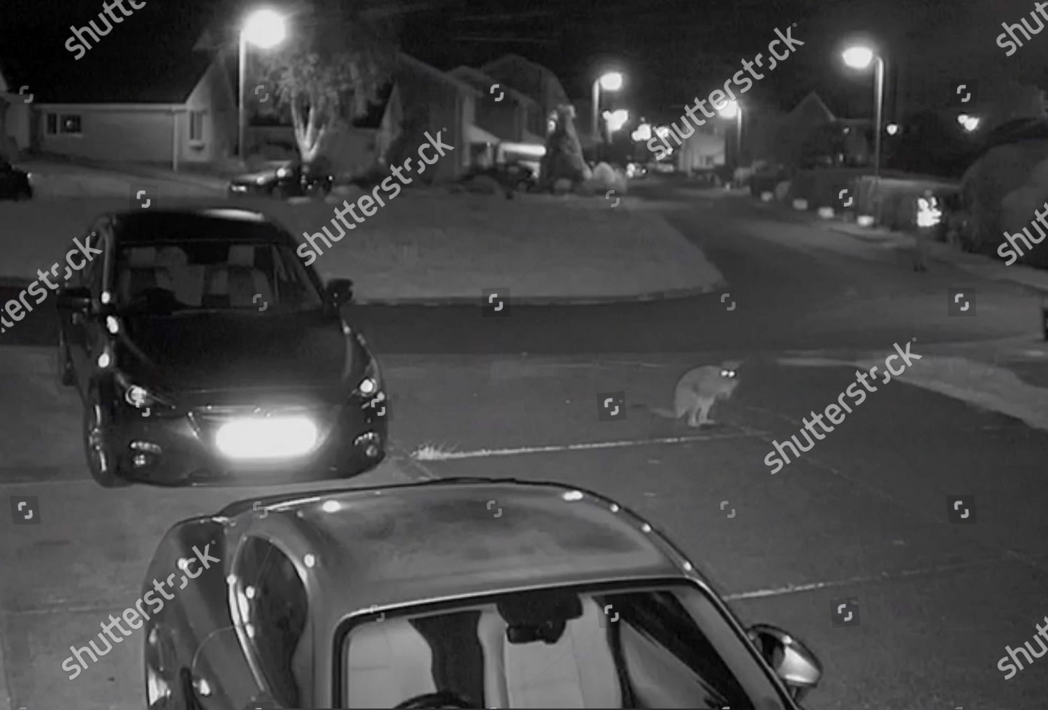 Screen Grab Cctv Camera Duncan Lewis Editorial Stock Photo - Stock ...