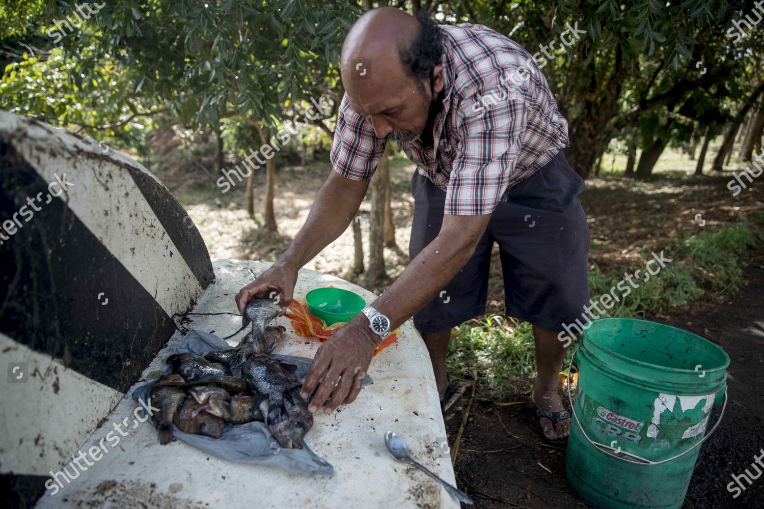 Truck Driver Prepares Fish Near Nicaragua Editorial Stock Photo - Stock ...