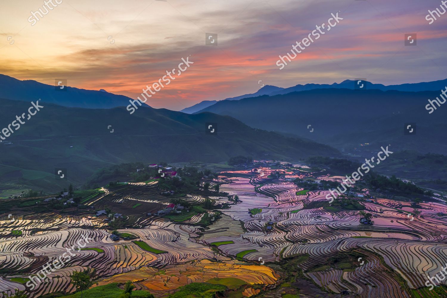 Colourful Rice Fields Create Mesmerising Landscape Editorial Stock ...
