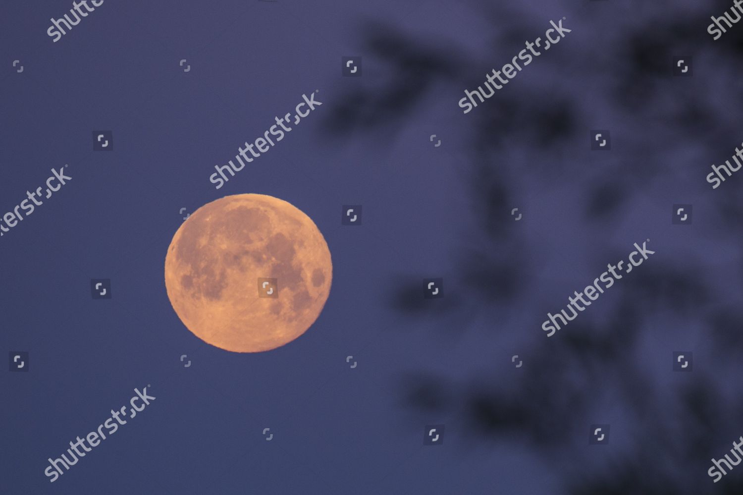 Junes Full Moon Known Strawberry Moon Editorial Stock Photo - Stock ...