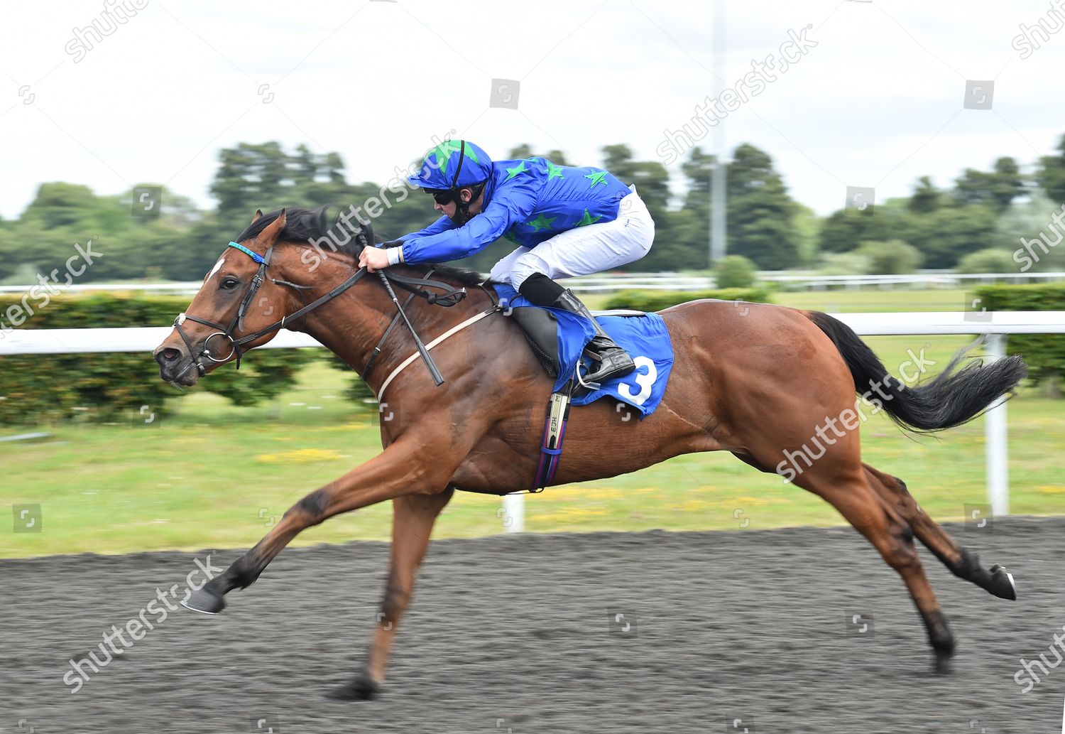 Enduring Charles Bishop Wins Unibet Thanks Editorial Stock Photo ...