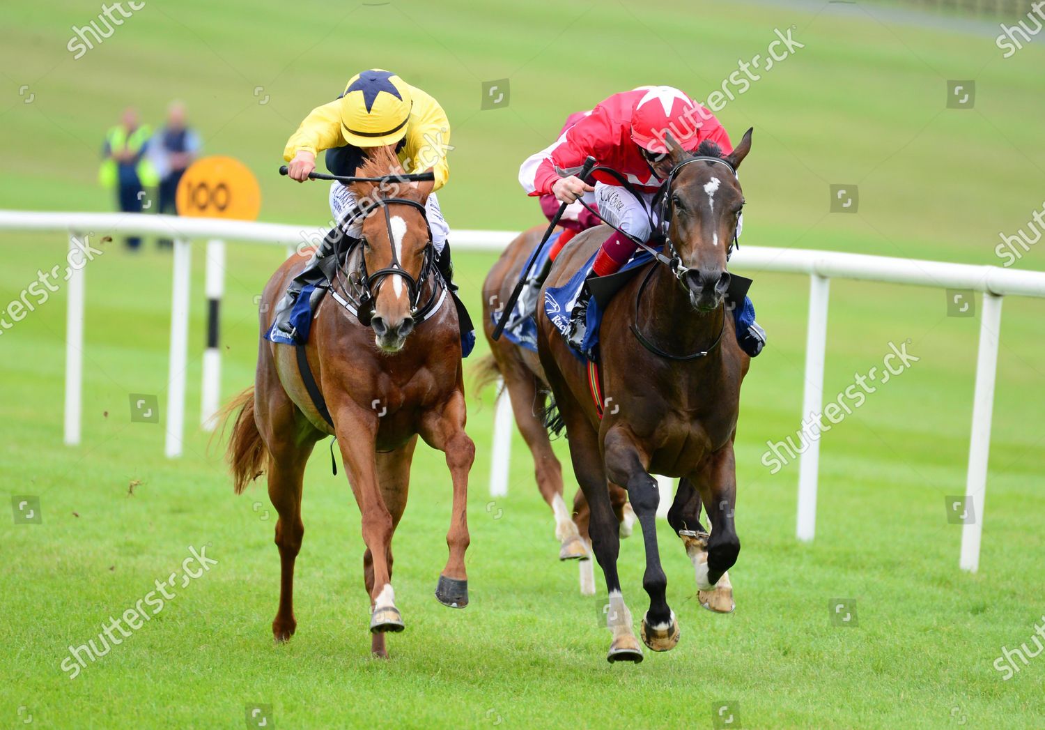 Naas Dacesa Shane Foley Left Win Editorial Stock Photo - Stock Image ...