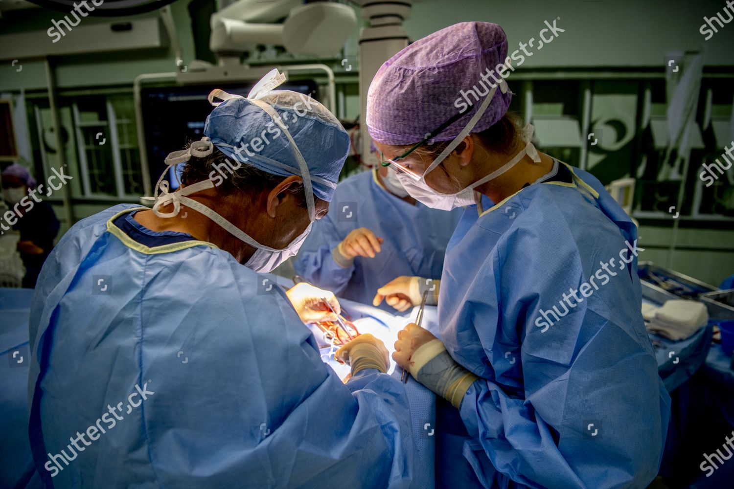 Albert Schweitzer Hospital Normal Care Fully Editorial Stock Photo ...