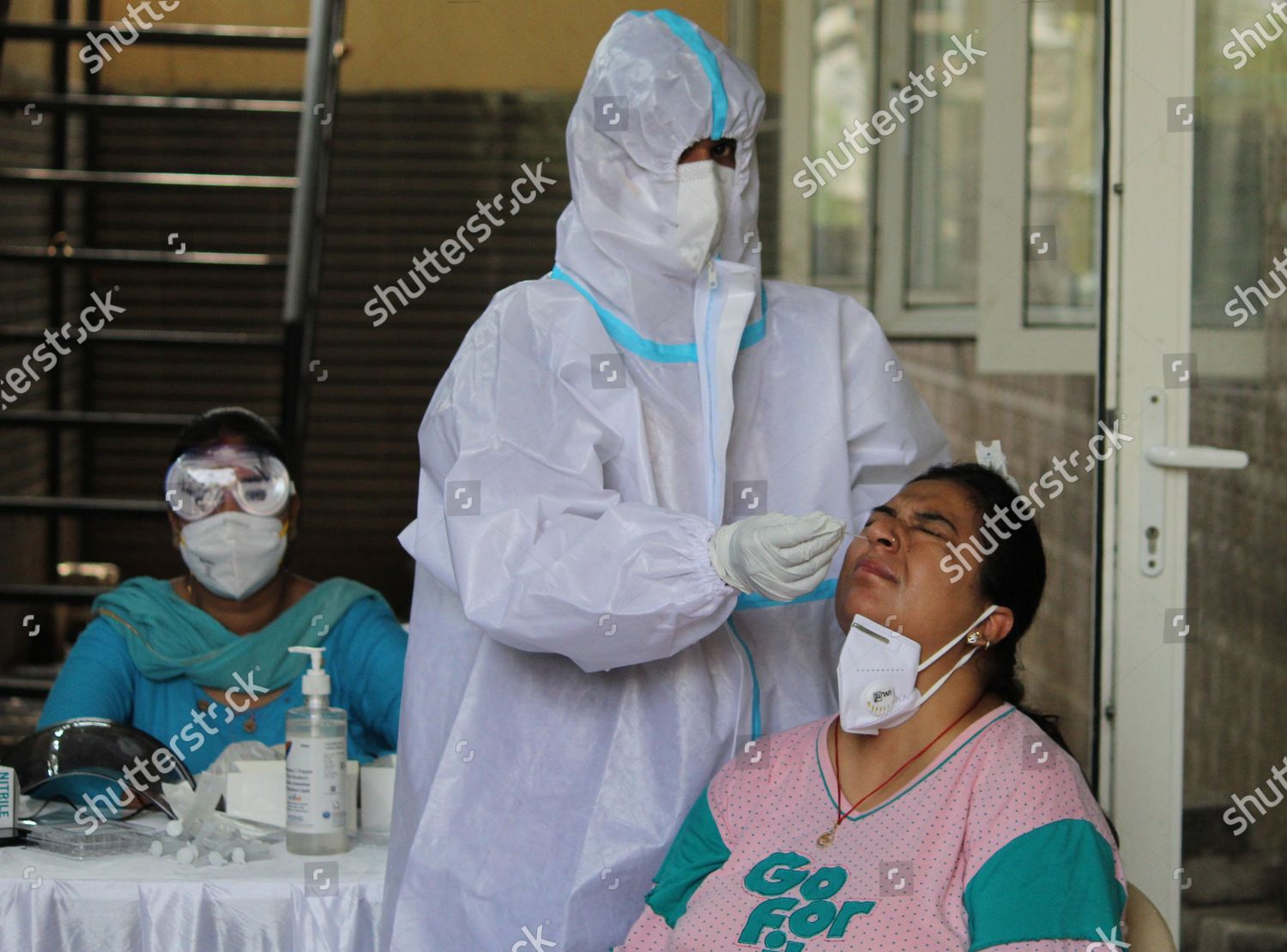 Health Worker Collects Swab Sample Covid19 Editorial Stock Photo ...