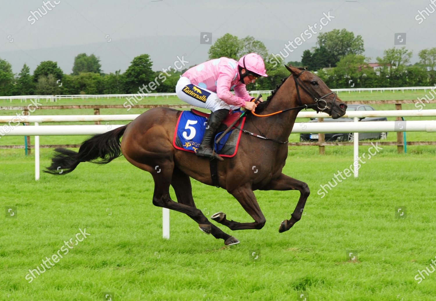 Tipperary Mr Jackman Jamie Codd Win Editorial Stock Photo - Stock Image ...