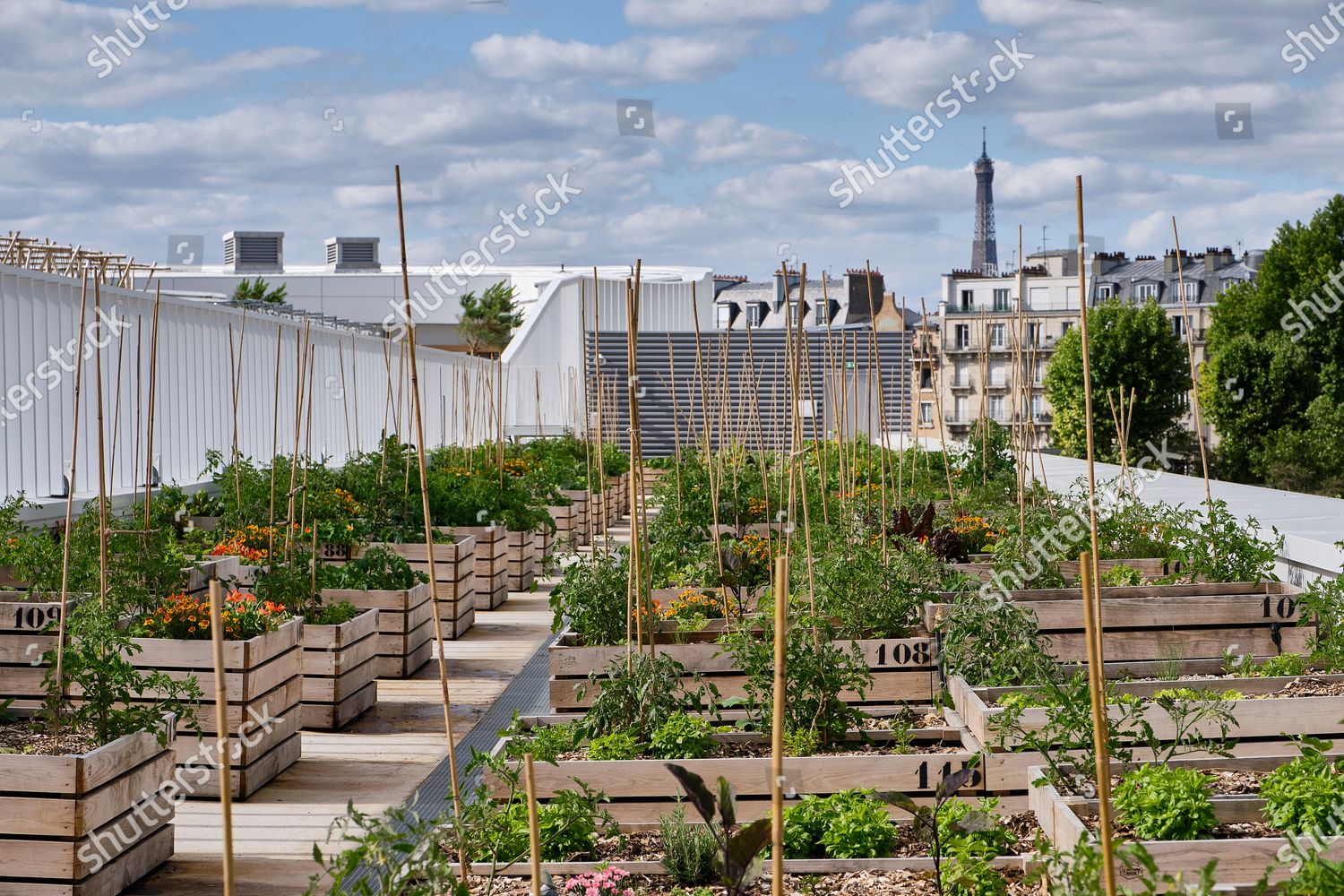One Worlds Largest Urban Roof Farms Editorial Stock Photo - Stock Image ...