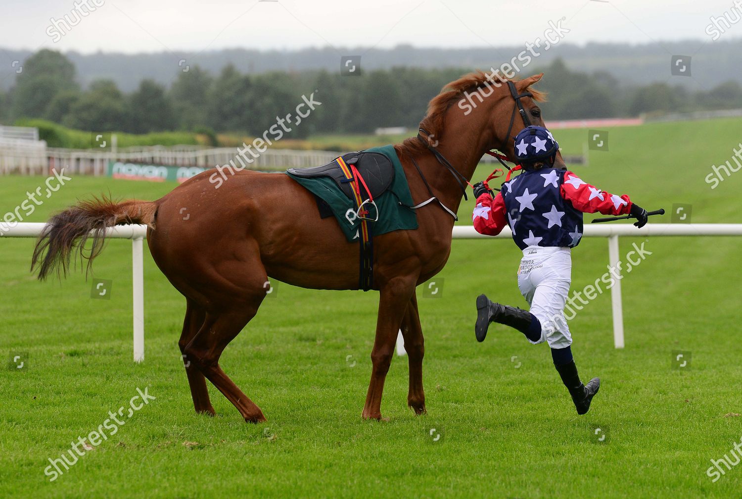 Navan Jockey Siobhan Rutledge Eventually Loses Editorial Stock Photo ...