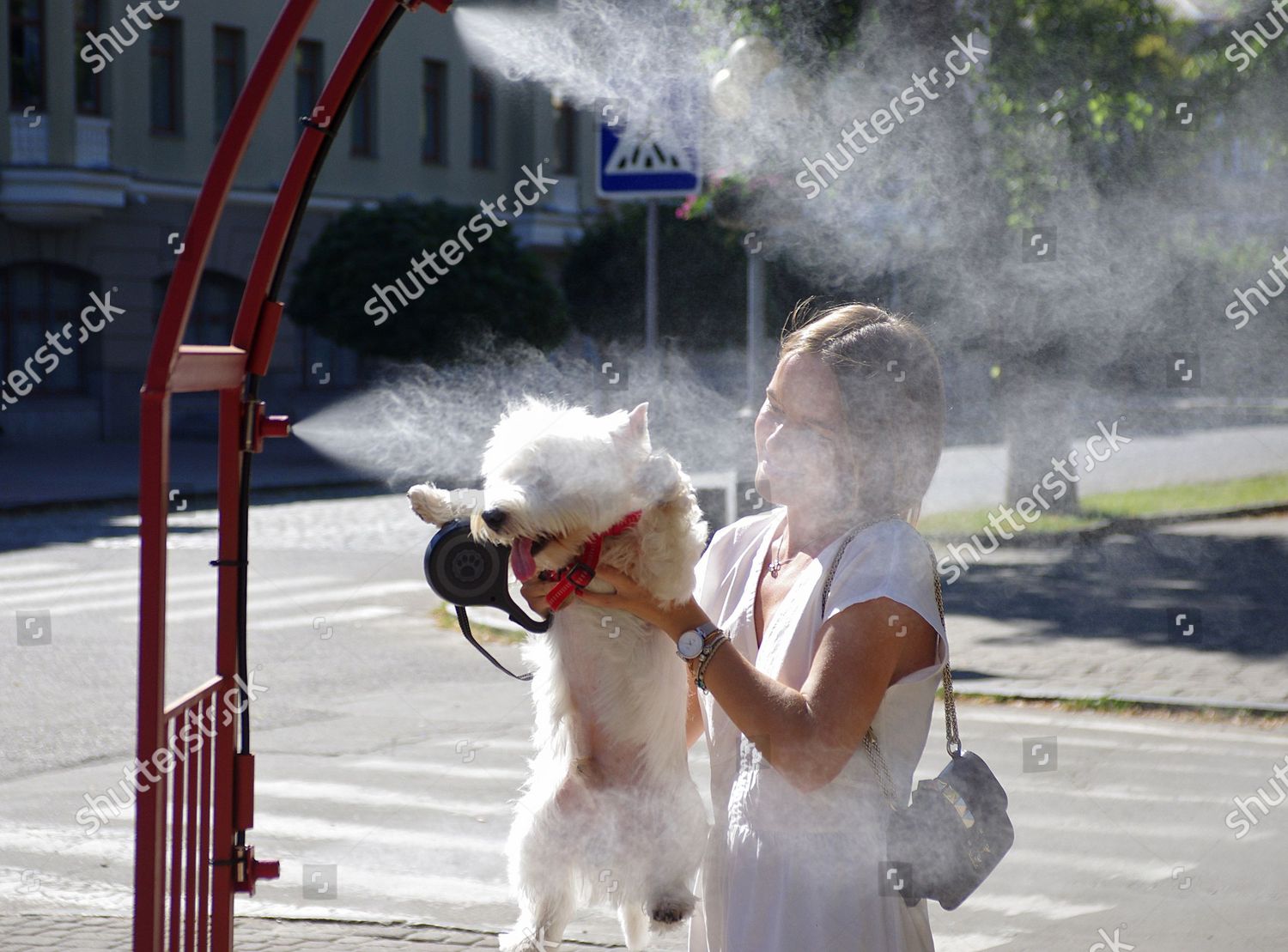 Woman Holds Dog Spray Cooling Frame Editorial Stock Photo - Stock Image ...