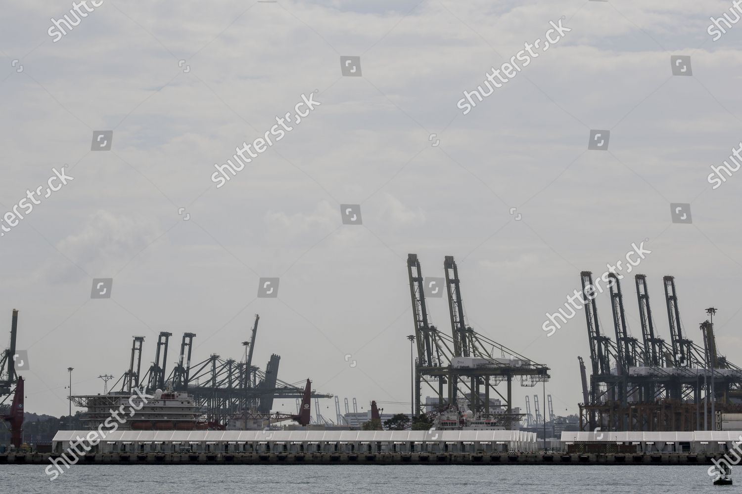 Container Cranes Tanjong Pagar Container Terminal Editorial Stock Photo ...