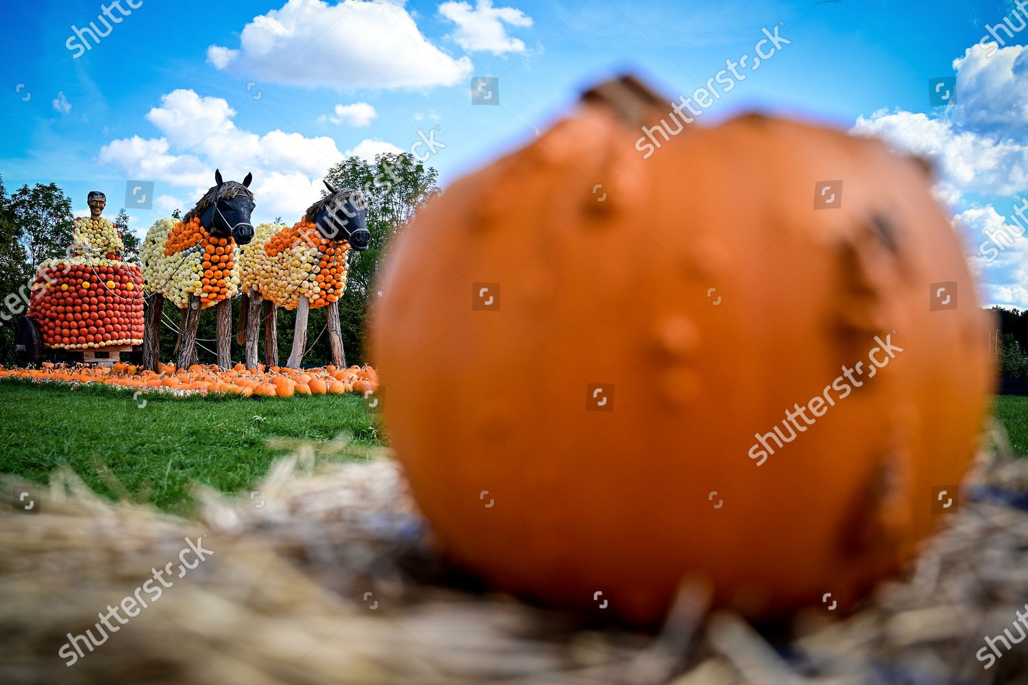 Pumpkin Sculpture Forms Roman Chariot On Editorial Stock Photo - Stock ...