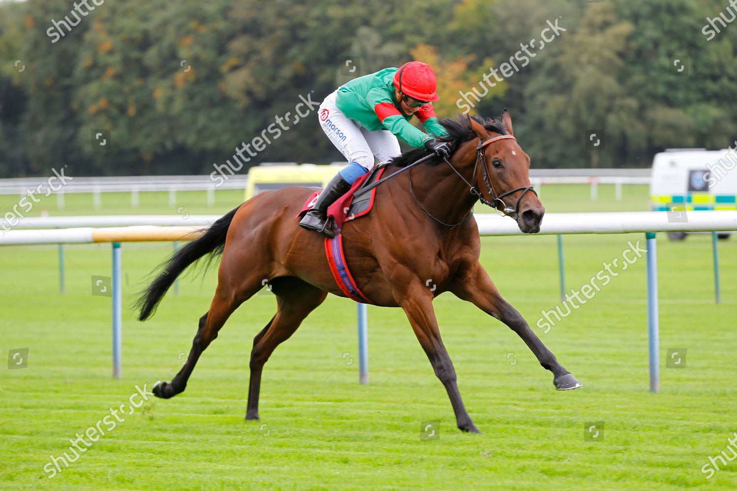 Licit Megan Nicholls Win Join Racing Editorial Stock Photo - Stock Image | Shutterstock