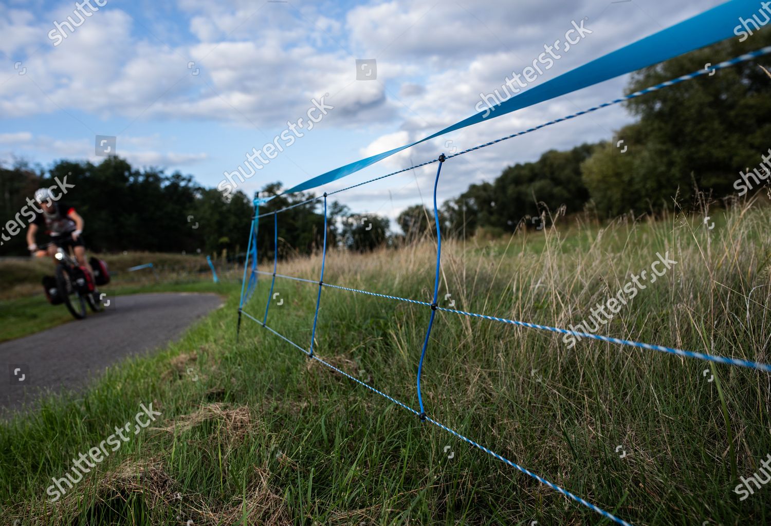 Electric Wildlife Fence On Border Between Editorial Stock Photo - Stock ...