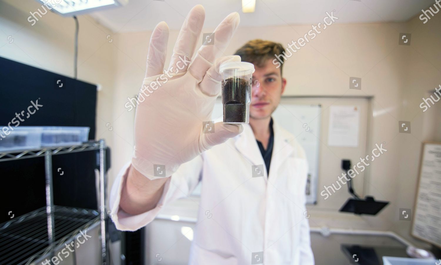 Longleat Keeper James Gotts One Baby Editorial Stock Photo - Stock ...