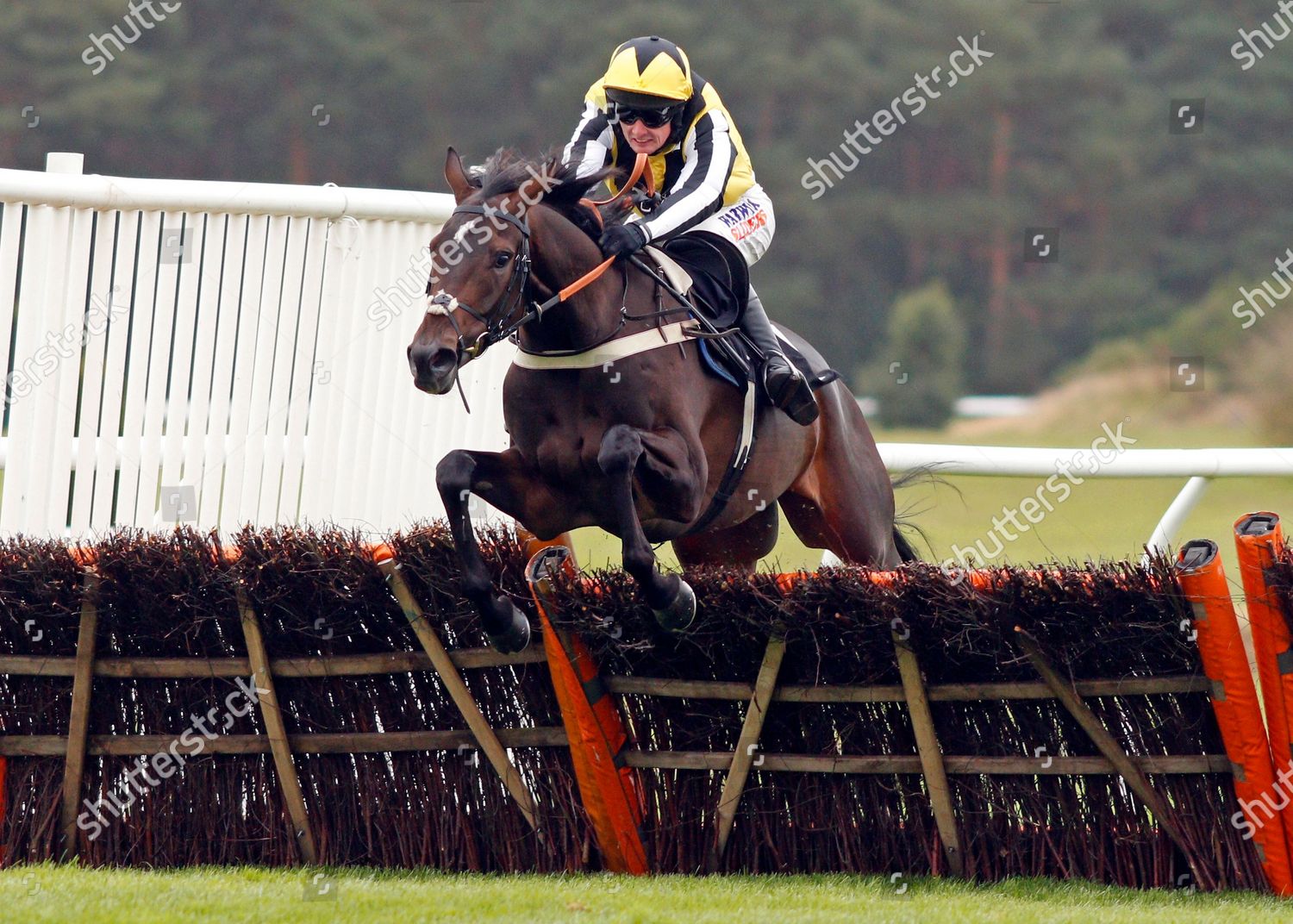 Soldier On Parade Jack Quinlan Wins Editorial Stock Photo - Stock Image ...