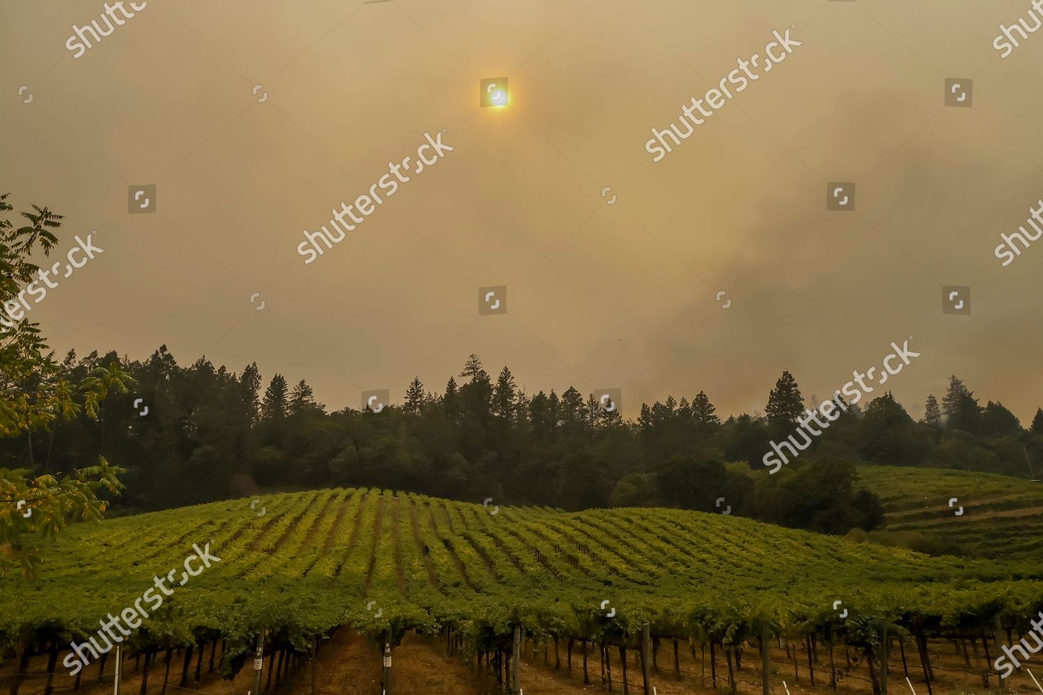 Sun Obscured By Smokefilled Sky Glass Editorial Stock Photo - Stock ...