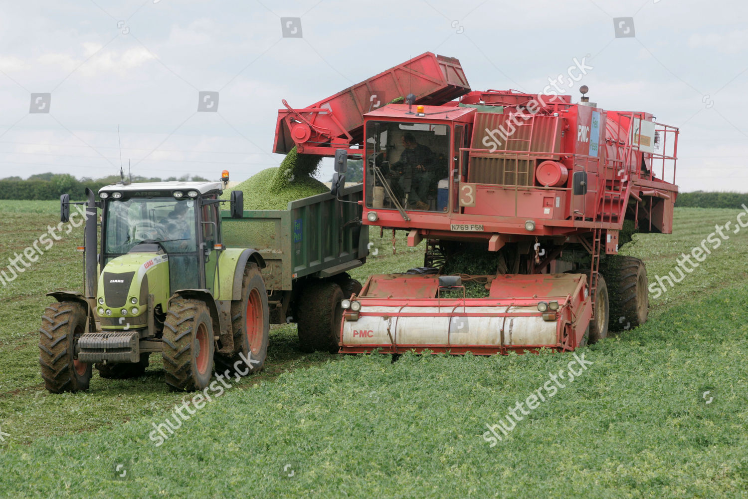Pea Vining Lincolnshire Wolds England Britain Editorial Stock Photo ...
