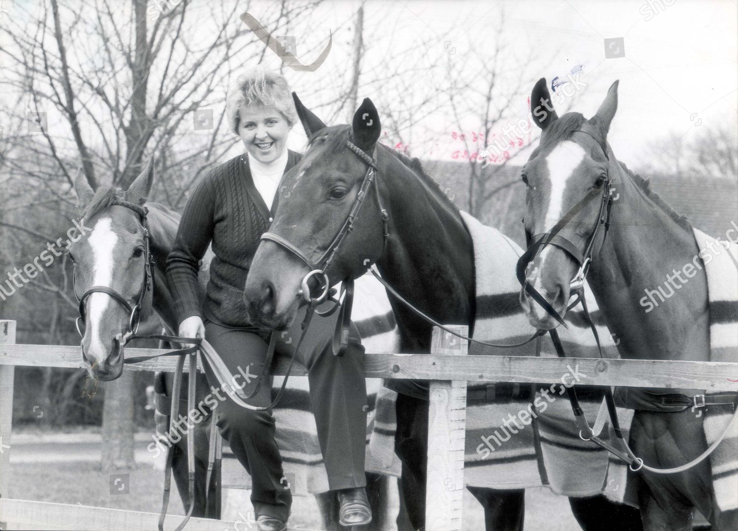 Jenny Pitman Racehorse Trainer 1981 Jenny Editorial Stock Photo - Stock ...