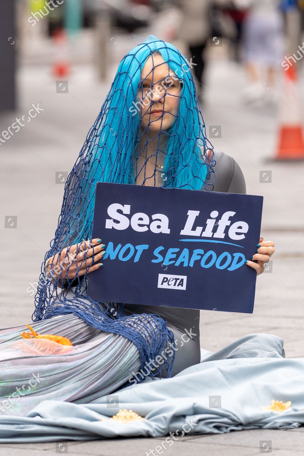 Protesters Caught Fishing Nets Urge Passersby Editorial Stock Photo ...