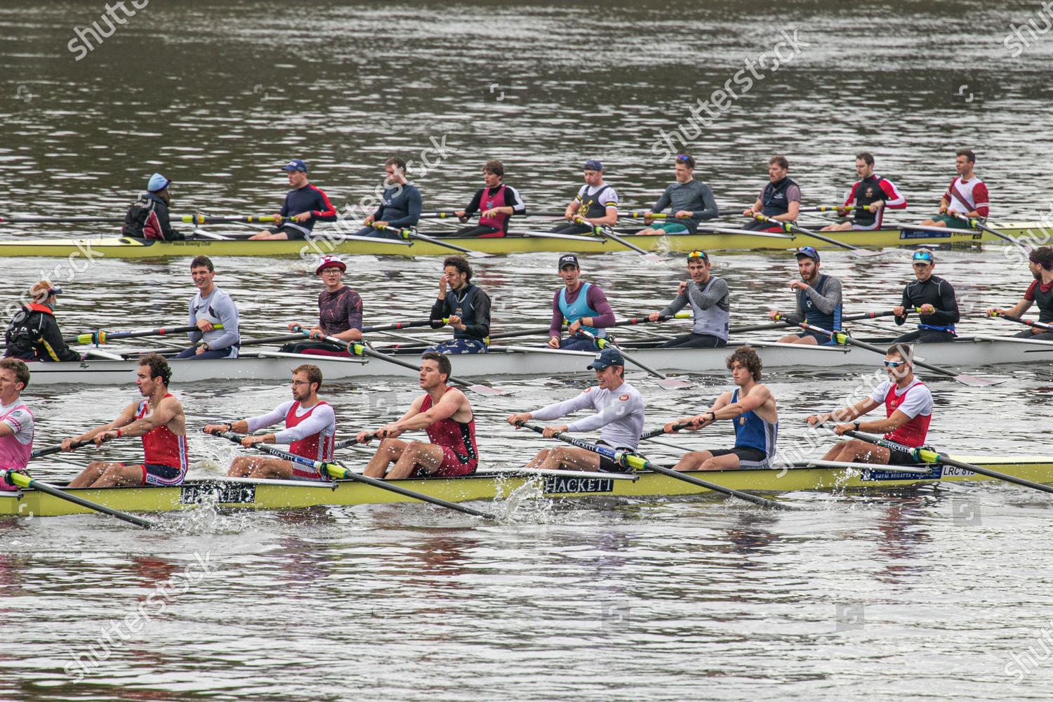 Rowing Boats Practise On River Thames Editorial Stock Photo - Stock ...