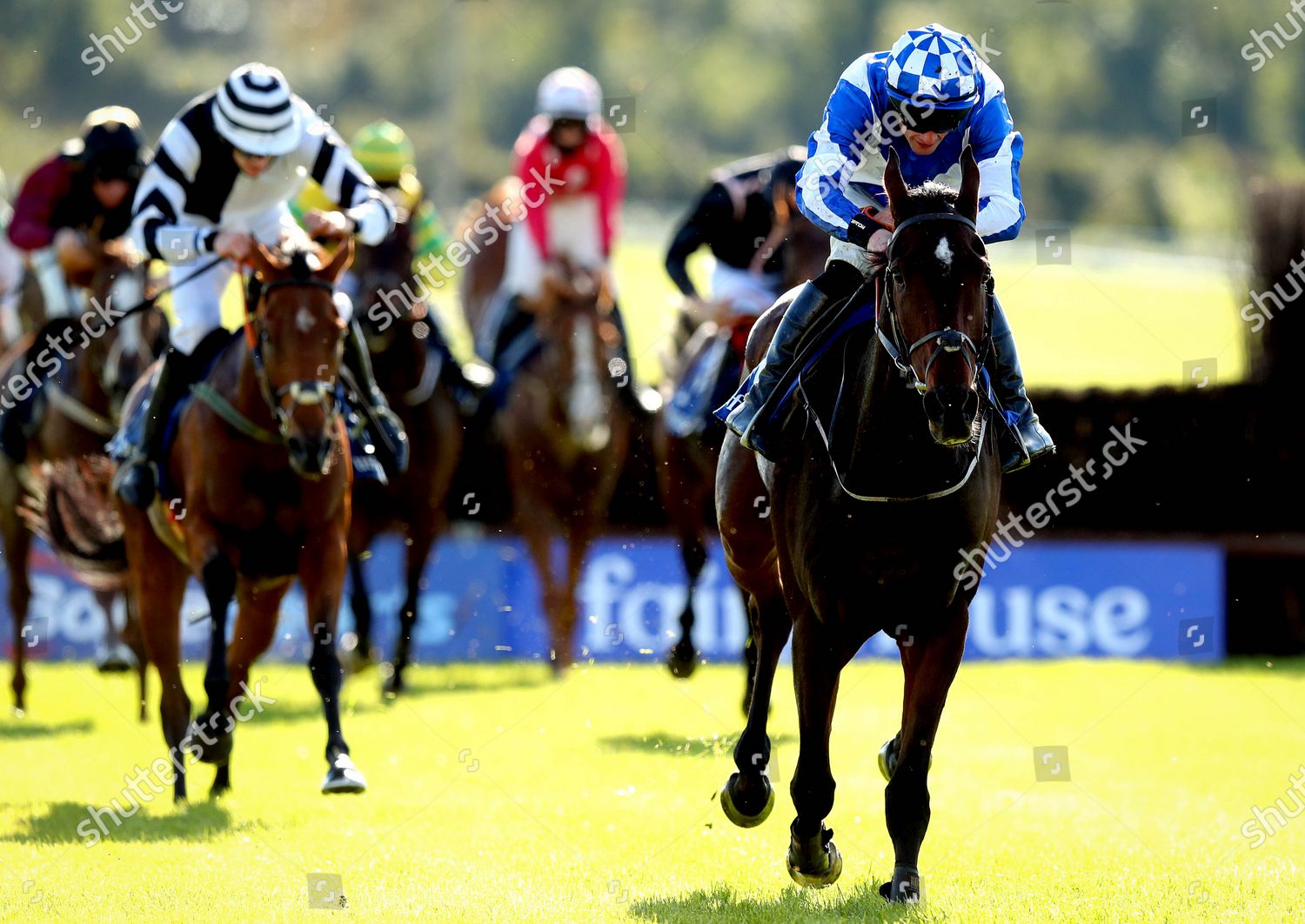 Adare Manor Opportunity Handicap Steeplechase Simon Editorial Stock ...