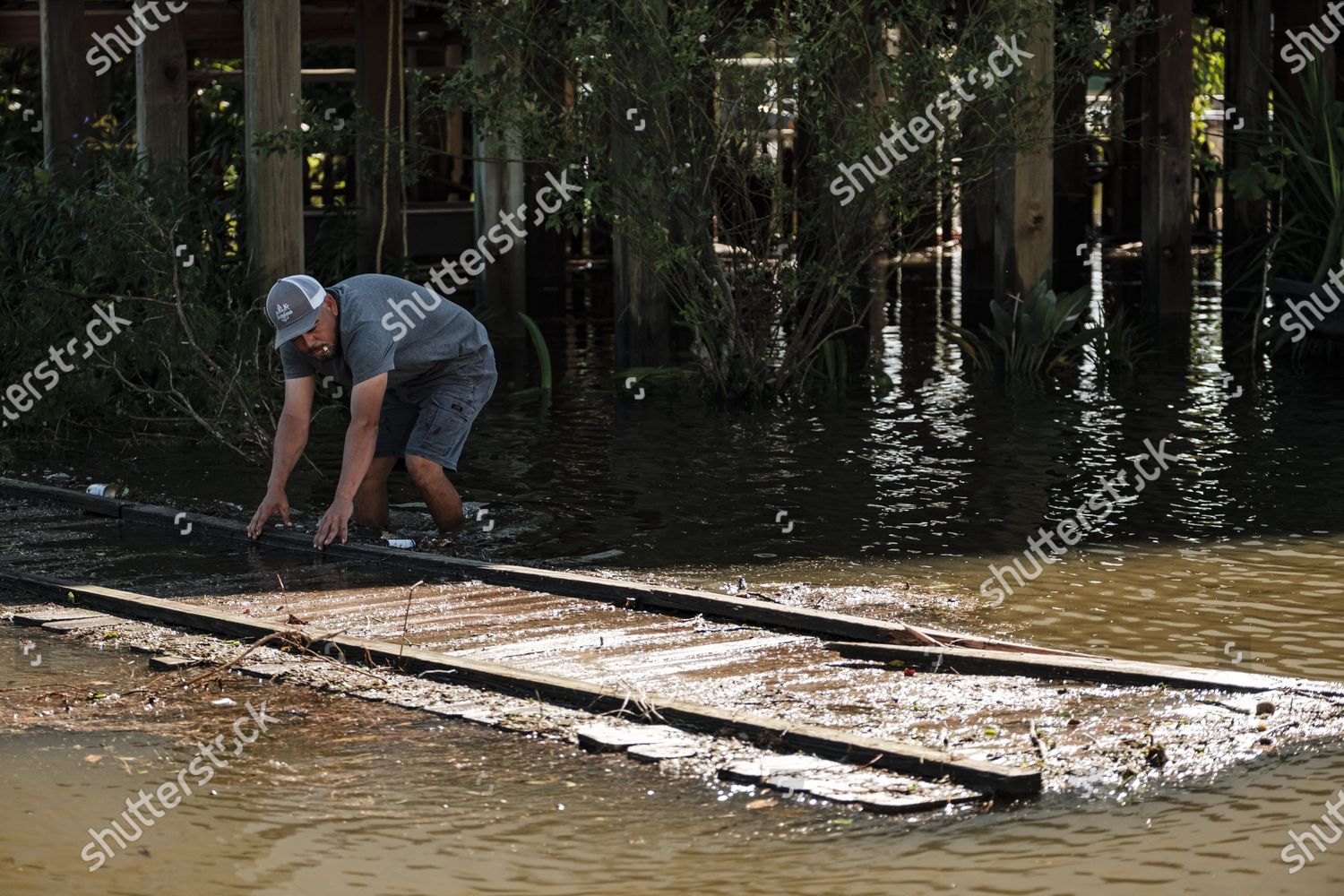 Pedro Calas Clears Fallen Fence His Editorial Stock Photo - Stock Image ...